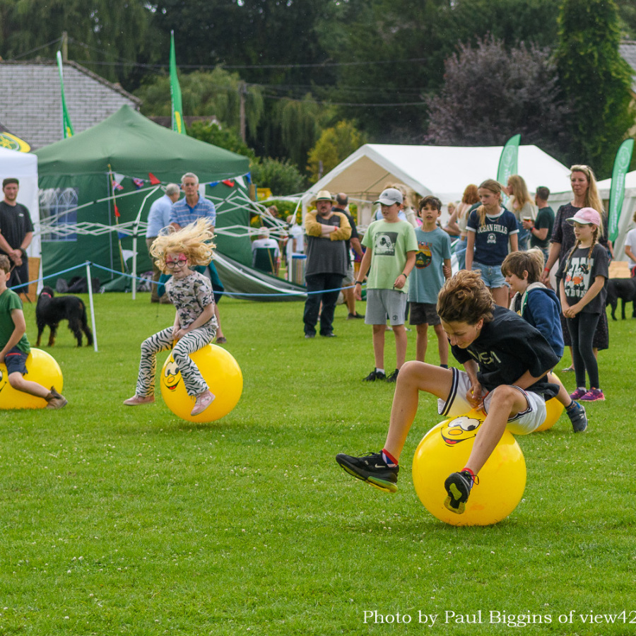 Damerham Fair 2024 - Home